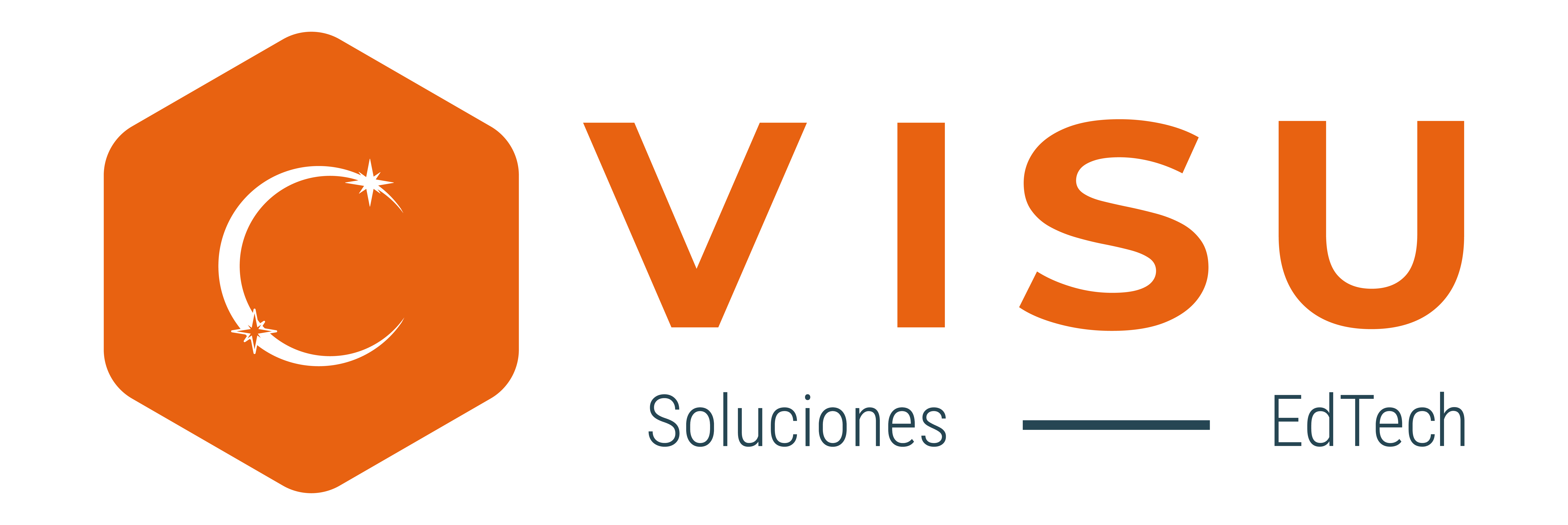 Visu Logo